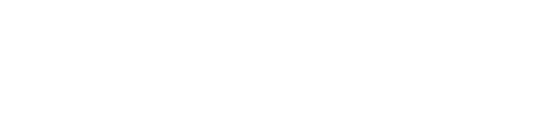 Riedell Model 951 – Riedell Colorlab